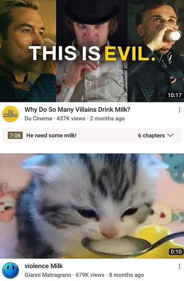 20 Crazy Cat Memes That Will Take Your Breath Away (From Laughing ...