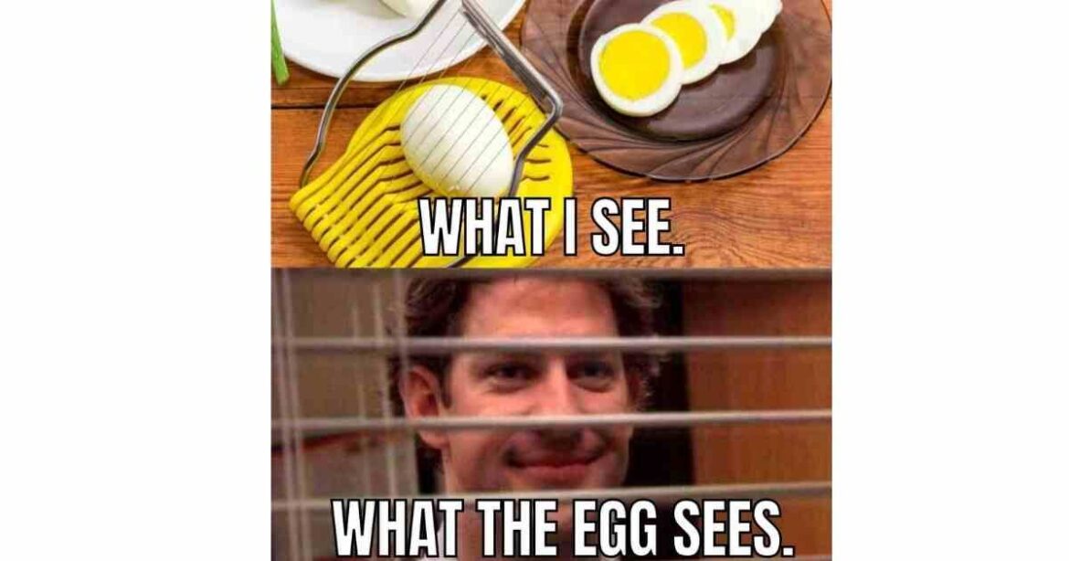 25 Egg Memes to Crack You Up This World Egg Day - Funny