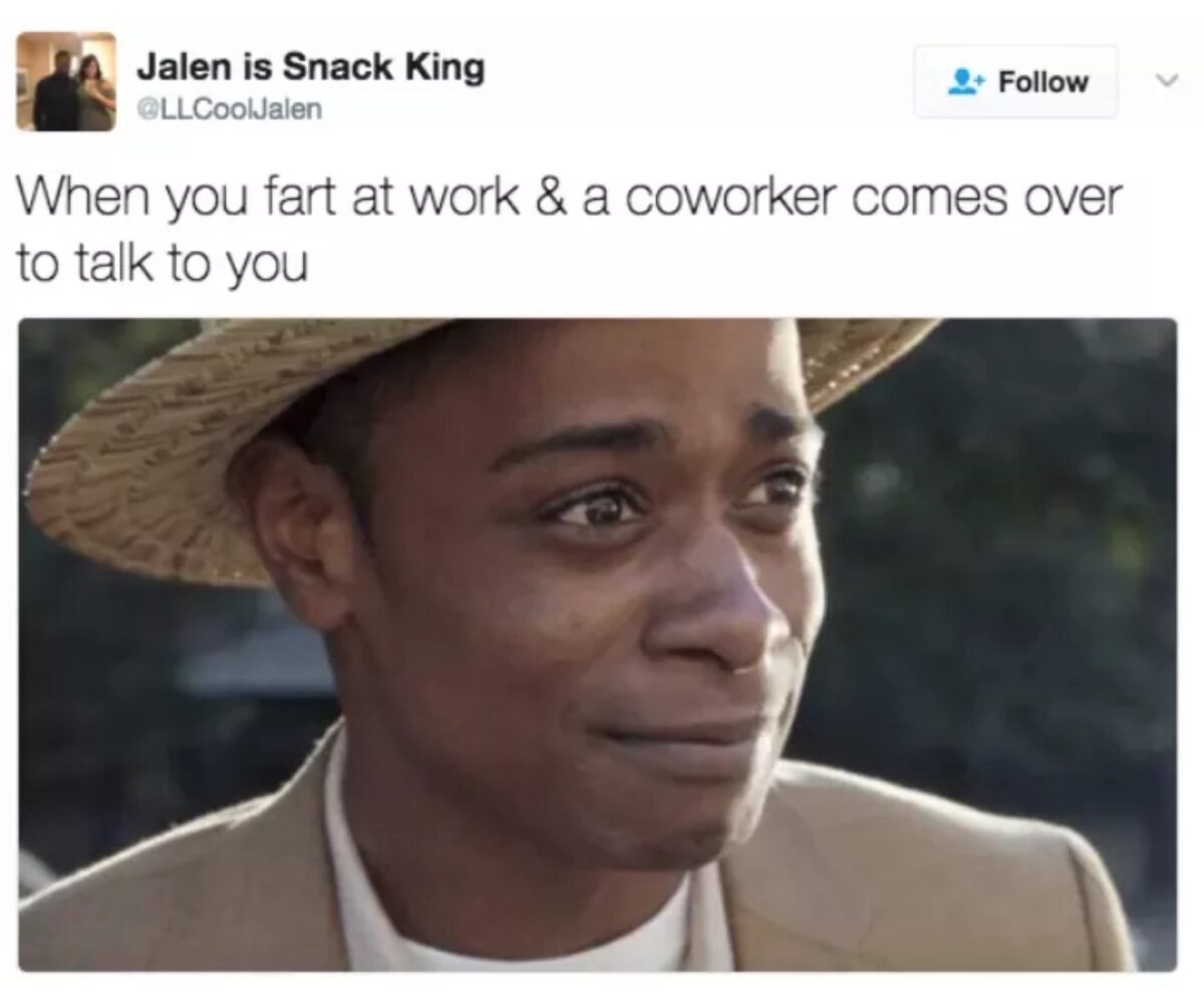 20 Memes to Distract You From Life’s Chaos - Funny