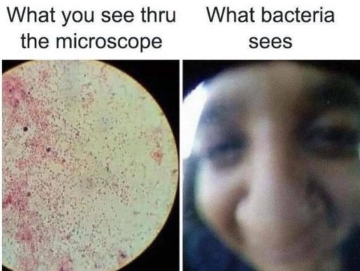 40 Brainy Memes That Will Blow Your Brains Out - Funny
