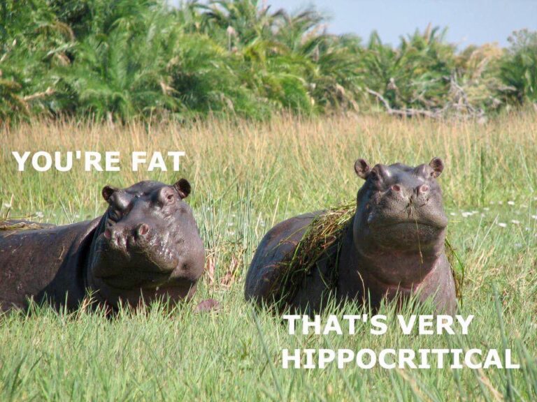 23 Hilarious Hypocrite Memes That Perfectly Call People Out - Funny