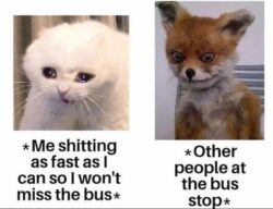 30 Extreme Dank Memes That Are Too Dark for Daylight - Funny