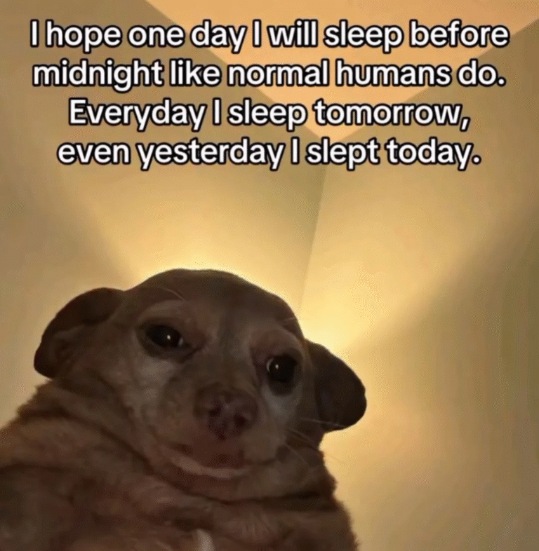 40 Hilarious Sleeping Memes That Everyone Will Relate To - Epic Fails