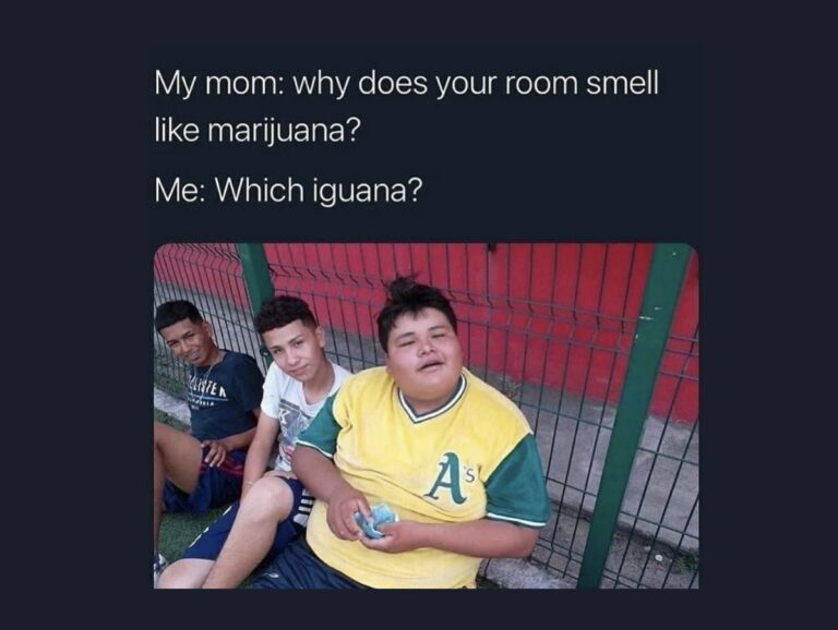 35 "When You Order From Wish Memes" That Will Make You Wish You Never ...