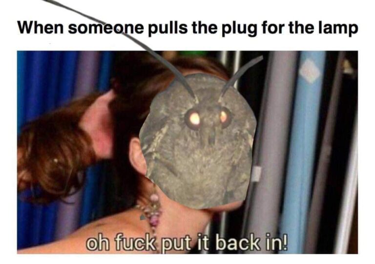 24 Moth Memes That Are Simply Drawn to the Light (And You’ll Be Too ...