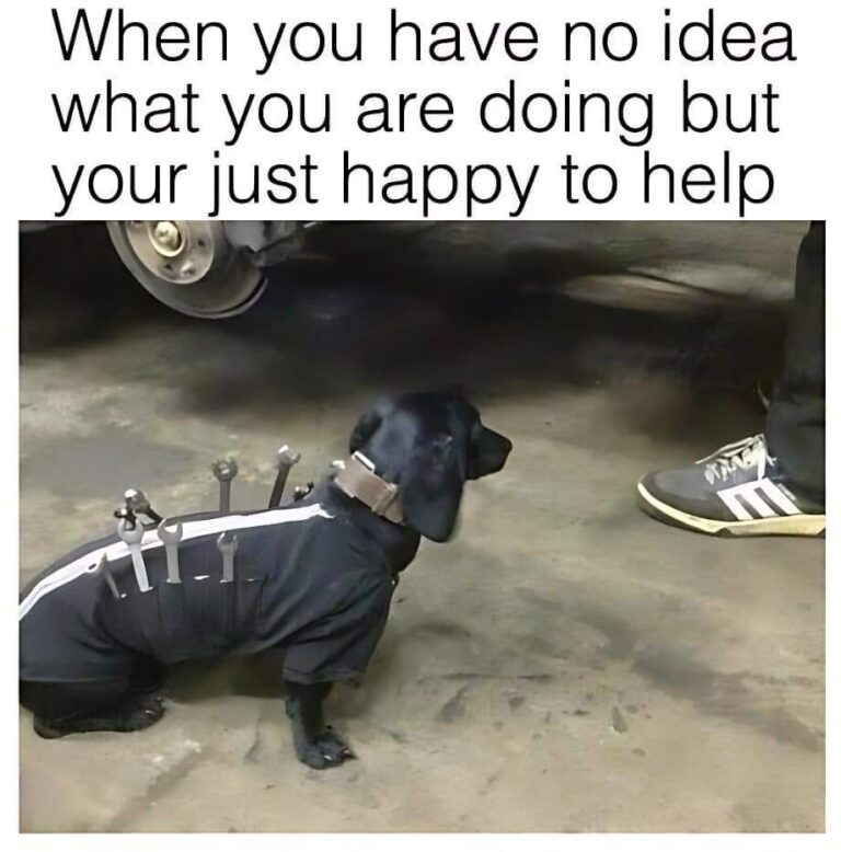 20 Car and Mechanic Memes That’ll Leave You in Tire-Screeching Laughter ...