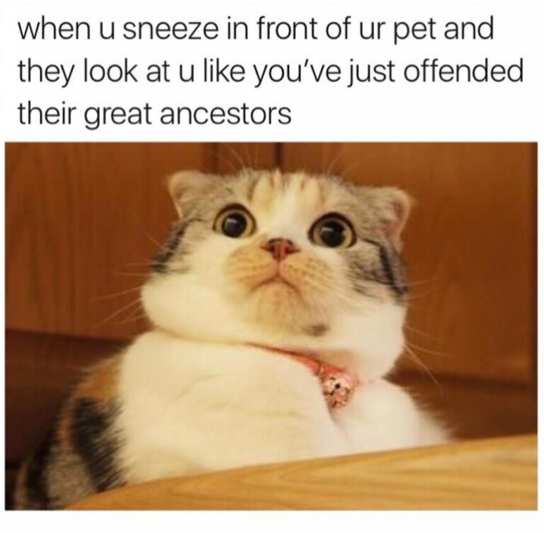 35 Offensive Memes For Those Who Don't Get Offended Easily - Funny