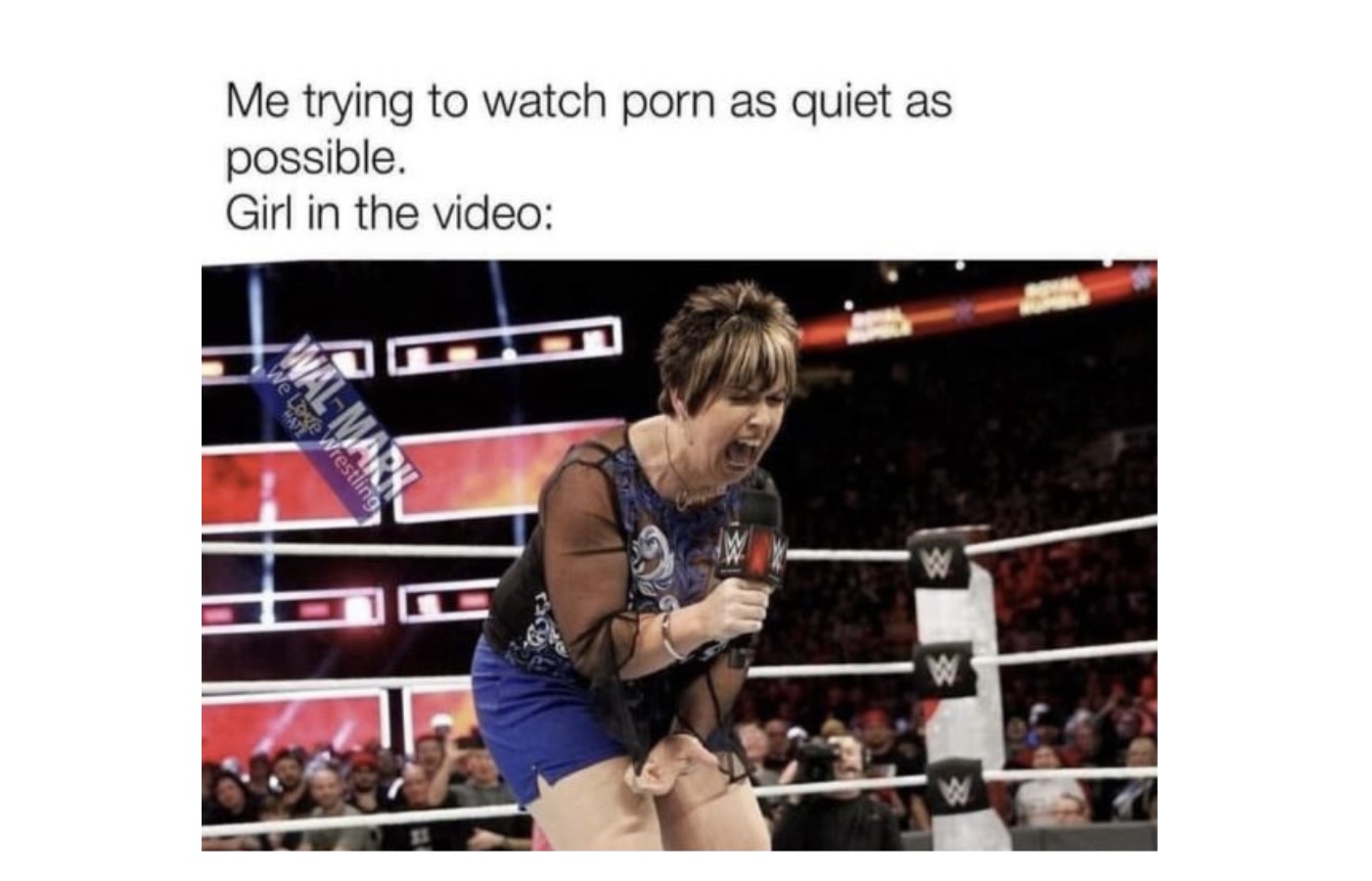 20 Funniest Hamster Memes for World Hamster Day - Animals