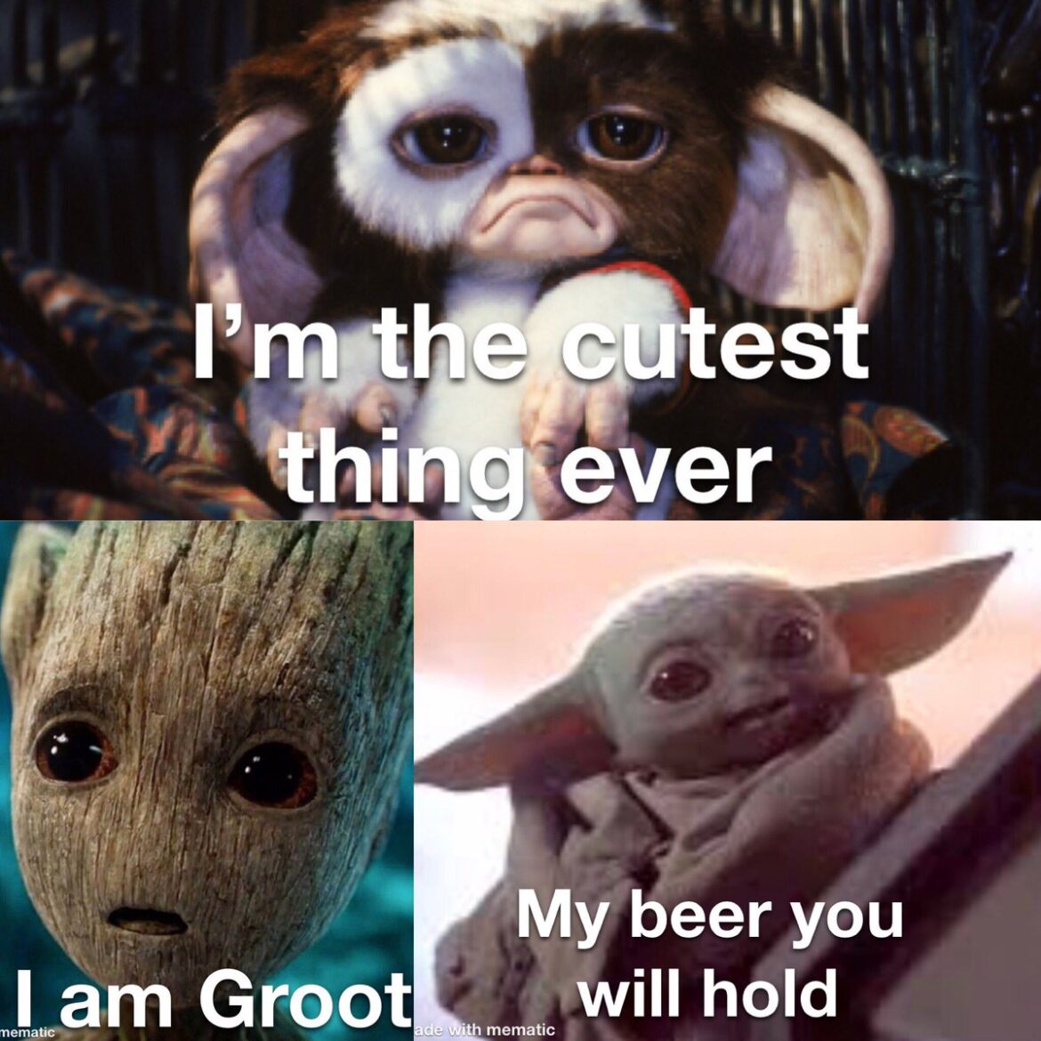 35 Of The Best "Hold My Beer Memes", And Why They're Hilarious