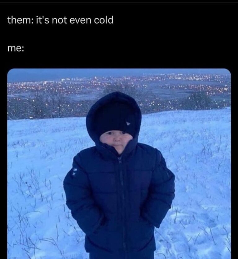 40 Winter Memes That'll Make You Go Into Hibernation - Funny