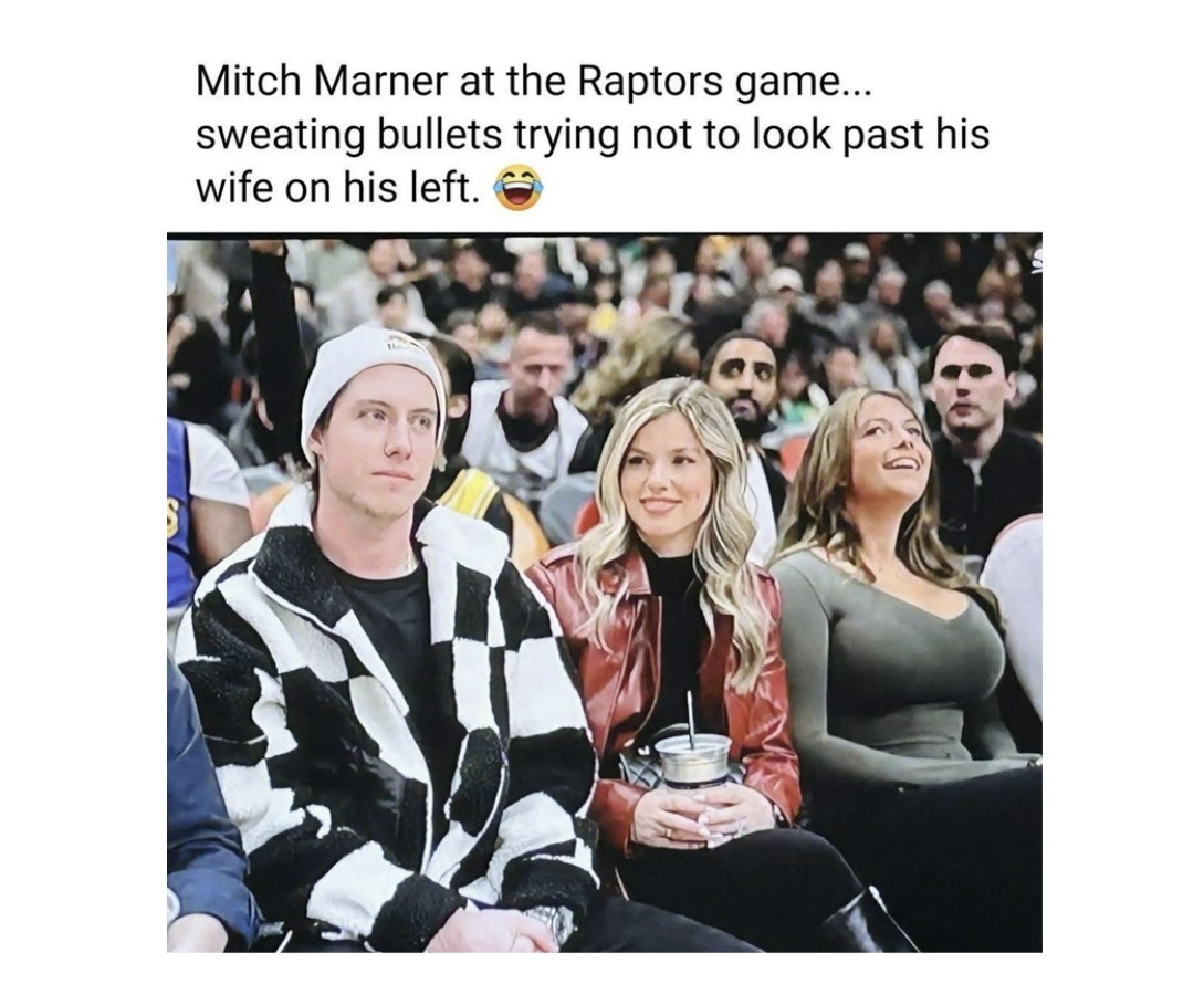 15 Wolf Memes That Will Make You Howl with Laughter - Funny