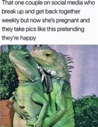 35 Couple Memes That Prove Couples Can Bicker and Still Love Each Other ...
