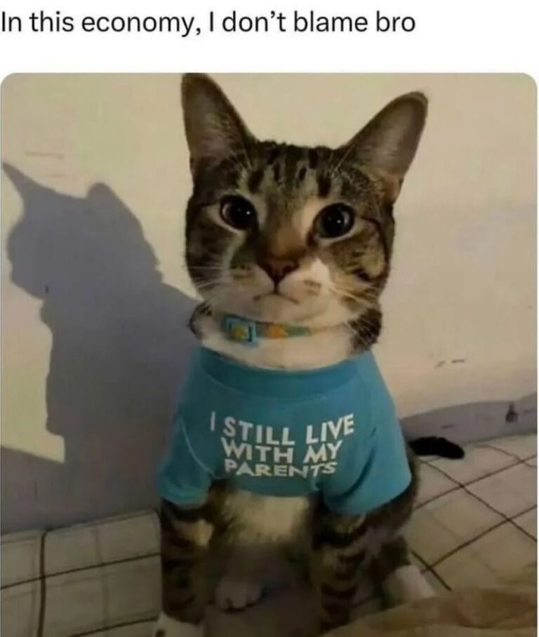 20 Ridiculous Animal Memes That Are Better Than Watching the News - Funny