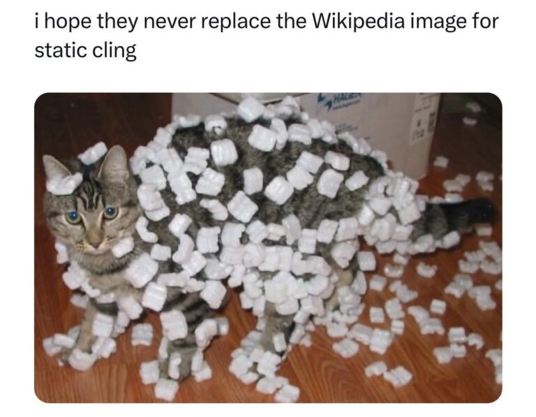 25 Memes That Are the Digital Equivalent of a Shrug - Funny
