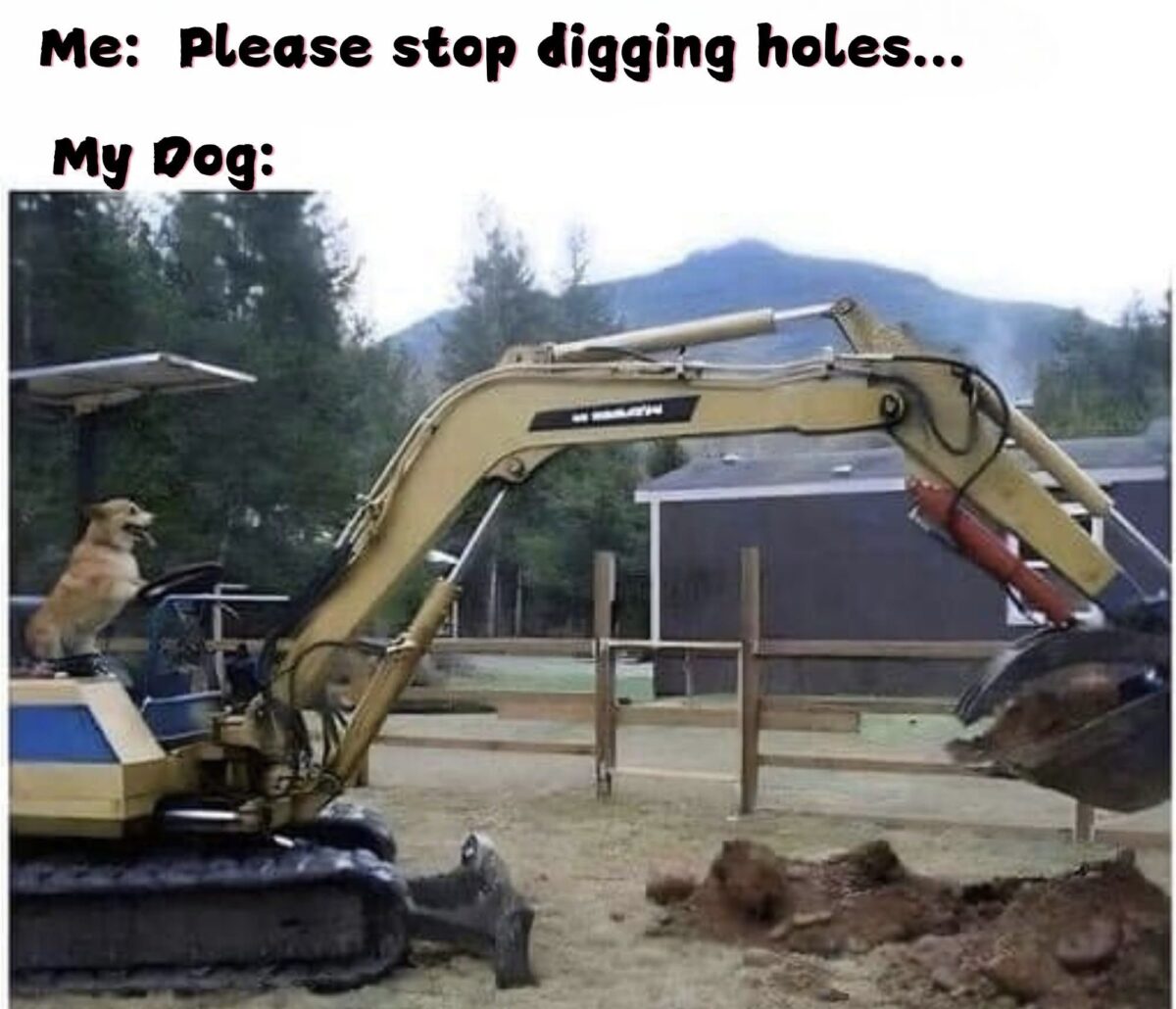 20 Memes That’ll Make You Laugh, Then Think, Then Laugh Again - Funny