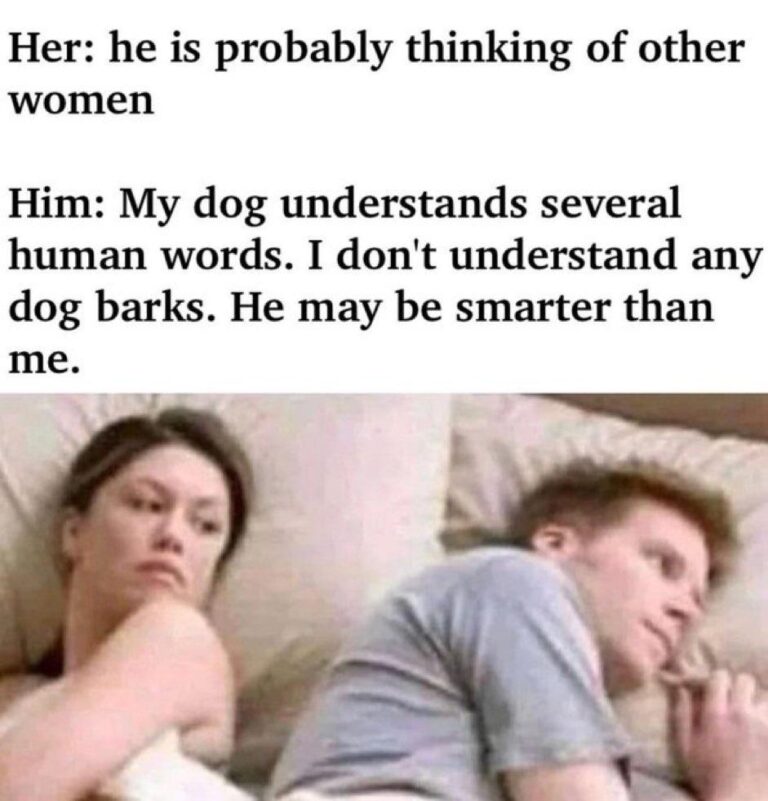 40 Funny "Dog Memes" That Will Surely Make You Smile - Animals