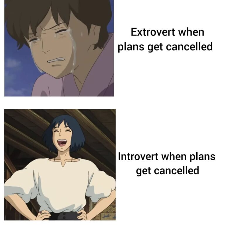 25 Introvert vs Extrovert Memes That Are Extremely Relatable