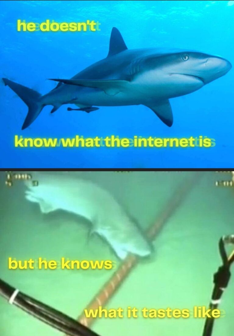 30 Dank Memes That Will Drag You to the Deep End of Humor - Funny