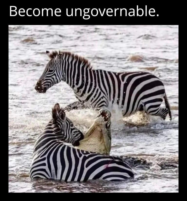 21 Gloriously Useless Memes to Confuse and Amuse - Funny