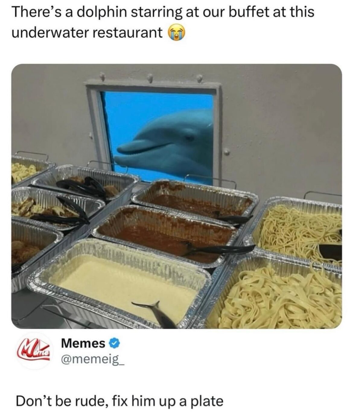 30 Memes to Distract You from Whatever You Were Supposed to Be Doing ...