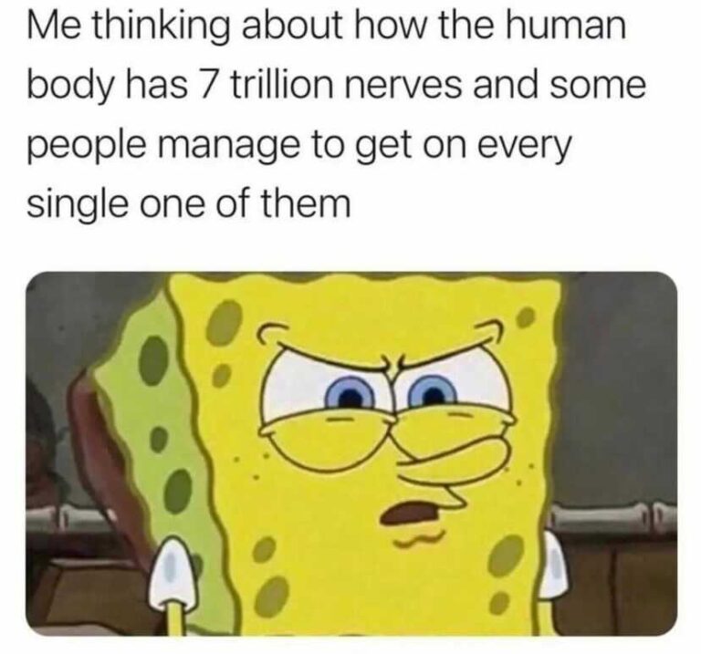 20 Stress Memes That Are Basically Just Internal Screaming - Funny
