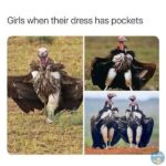 25 Mocking Memes That Hit Like a Verbal Uppercut - Funny