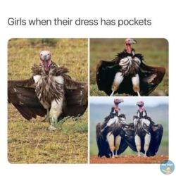25 Mocking Memes That Hit Like a Verbal Uppercut - Funny