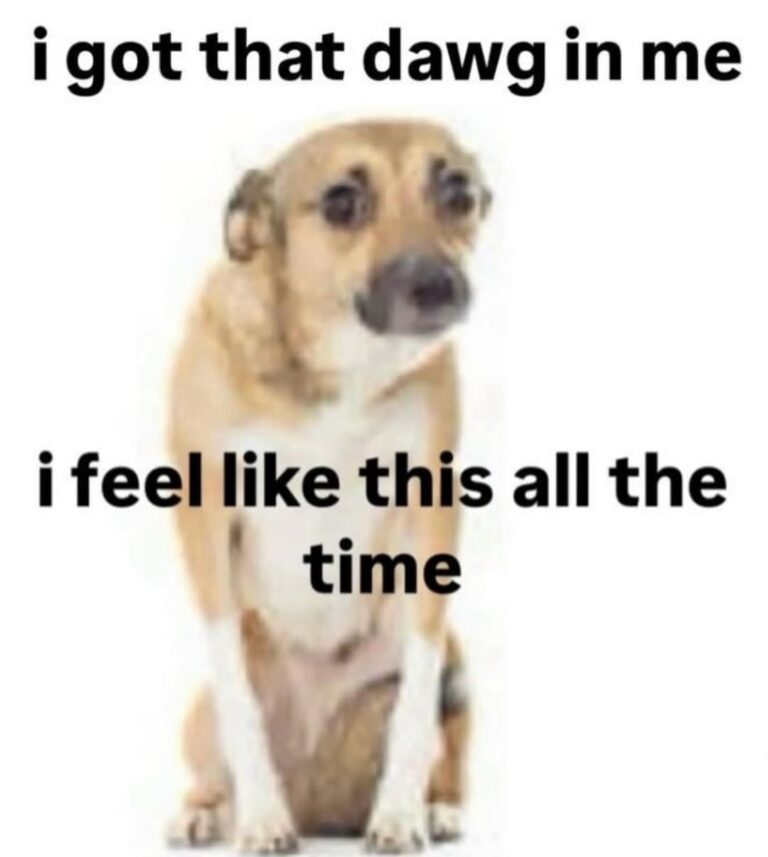 20 Funny Unhinged Memes That Start Silly and End in Absolute Madness ...