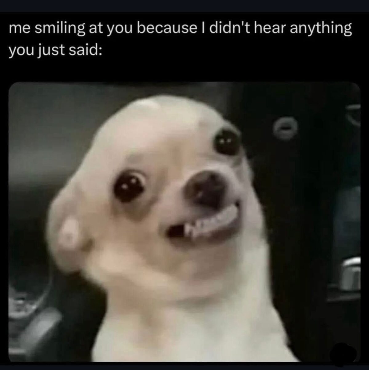 20 Random Memes That’ll Leave You Laughing, Confused, and Mildly ...