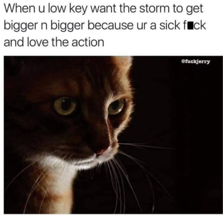 25 Random Memes That Are the Crème de la Crème of Unfiltered Humor - Funny