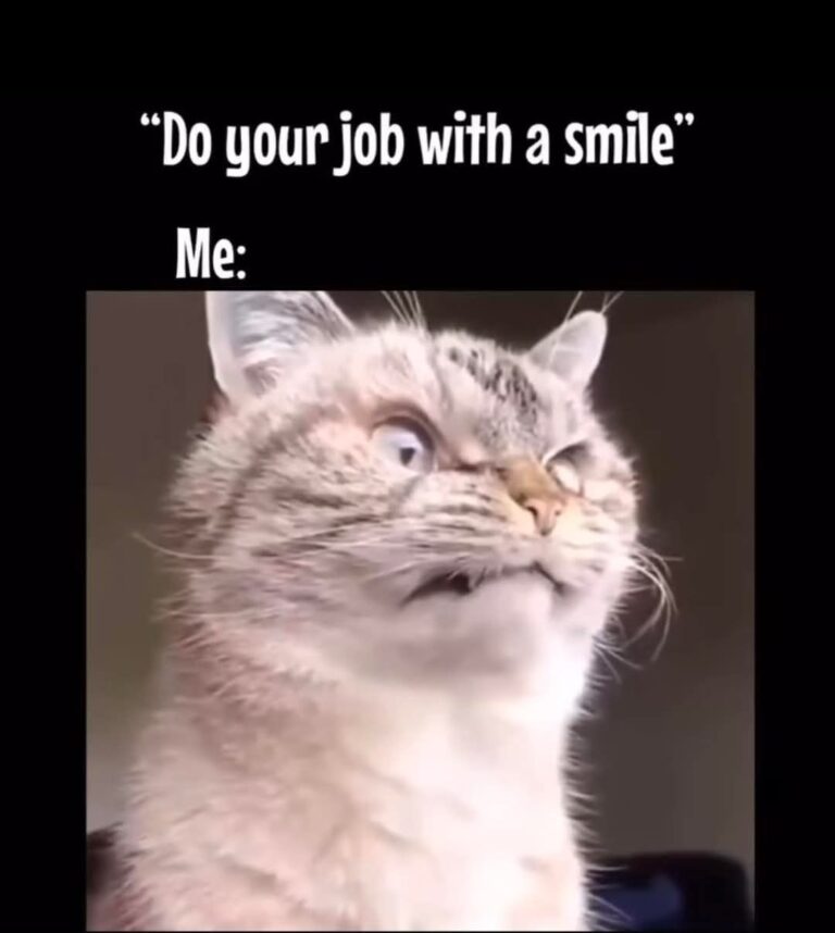 20 Unhinged Work Memes That Make Corporate Misery Weirdly Hilarious - Funny
