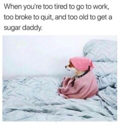 20 Unhinged Work Memes That Make Corporate Misery Weirdly Hilarious - Funny