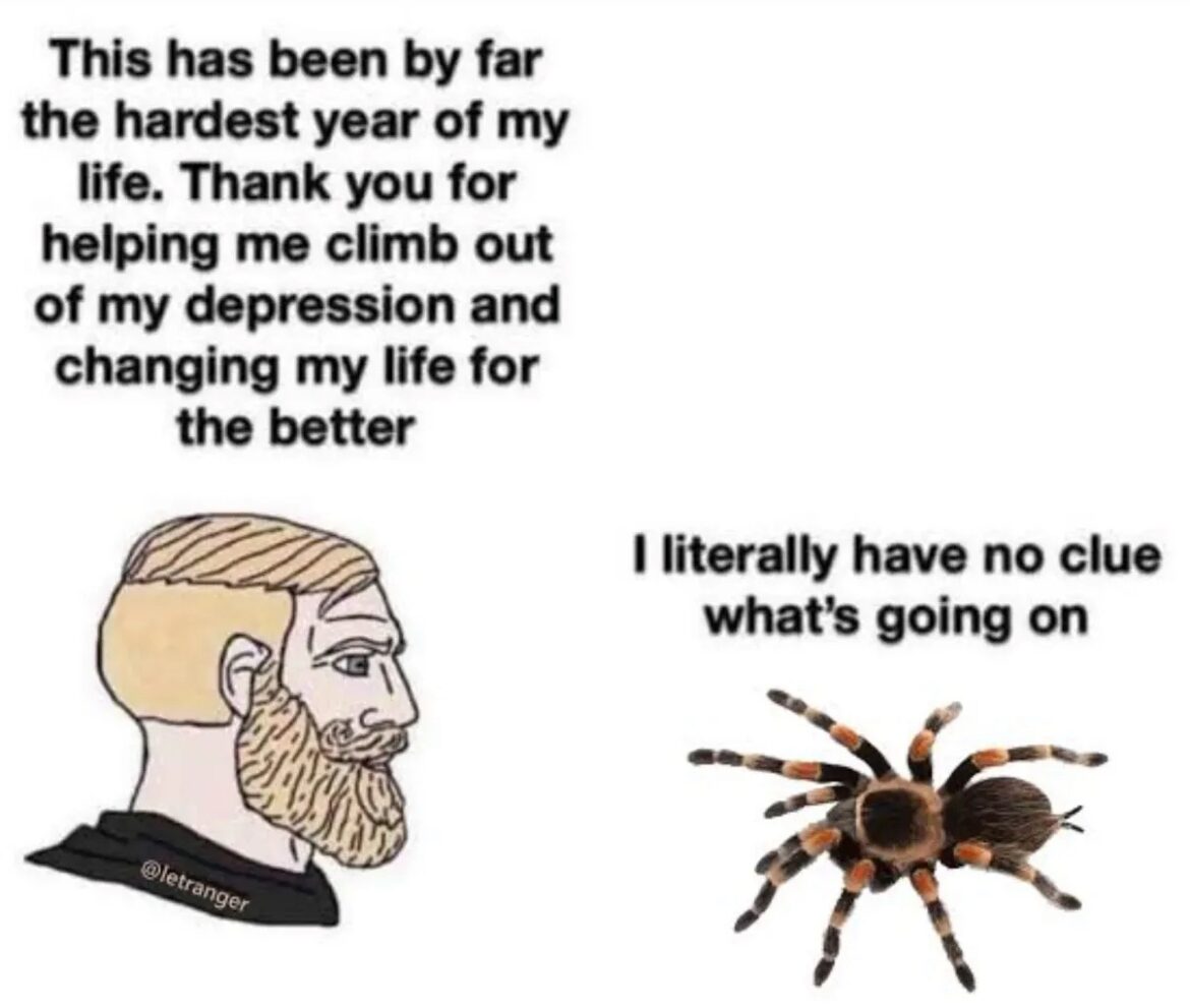 20 Spider Memes That Are Web-Solutely Hilarious - Funny