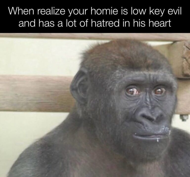 30 Cringe Memes That Will Make You Facepalm - Funny