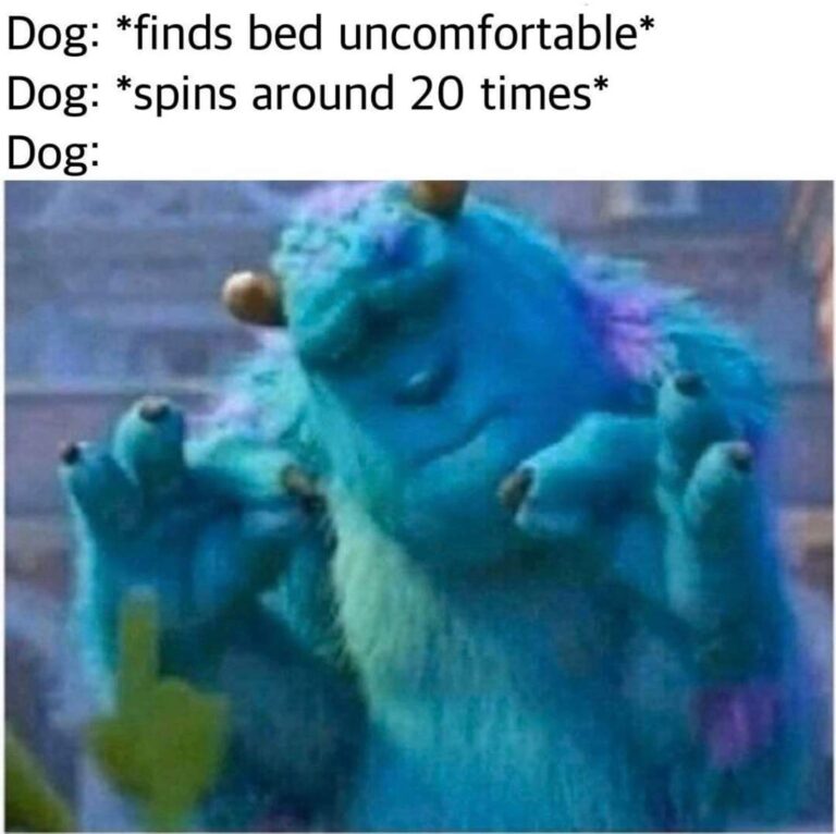 20 Memes That Could Ruin Your Last Two Brain Cells - Funny