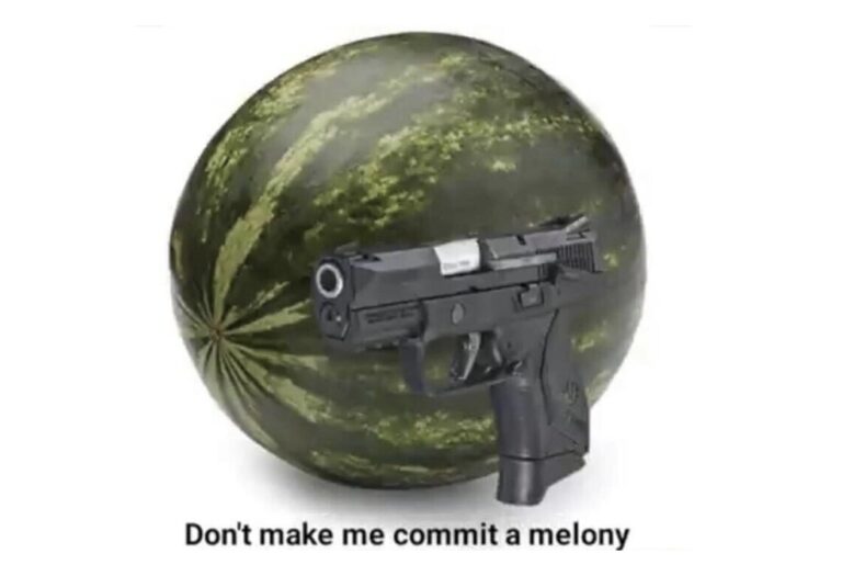 memes so dumb - Chameleon Memes