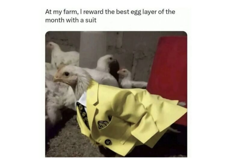 25 Fan Memes That Will Blow You Away With Laughter & Breezy Vibes - Funny