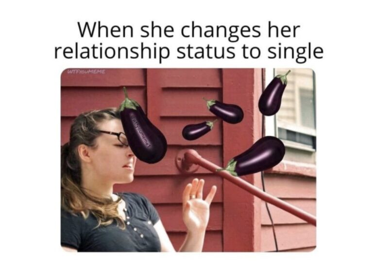 25 Hamster Memes That Will Make You Laugh Until Your Cheeks Hurt - Animals