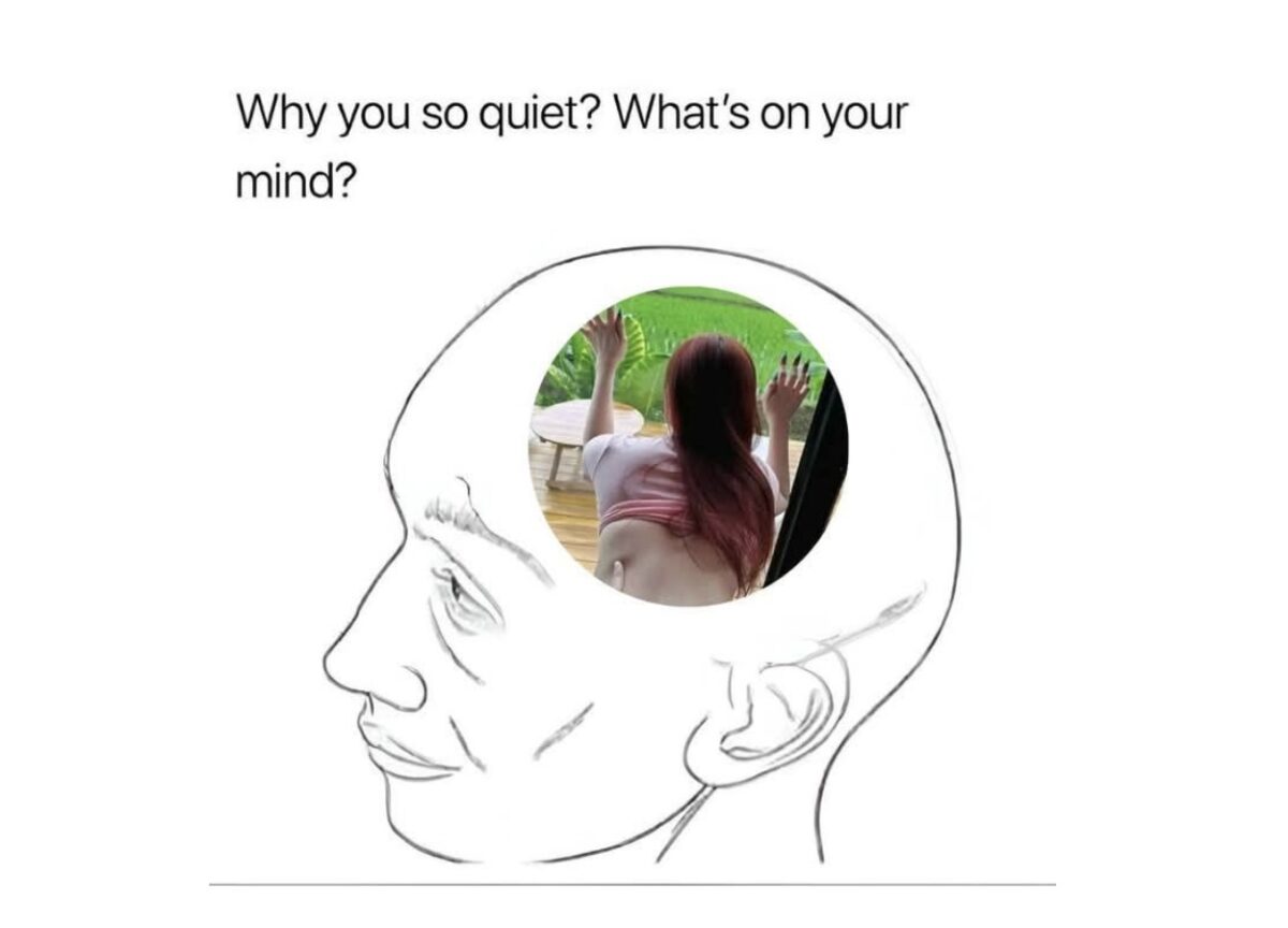 25 Chimpanzee Memes to Celebrate World Chimpanzee Day - Animals