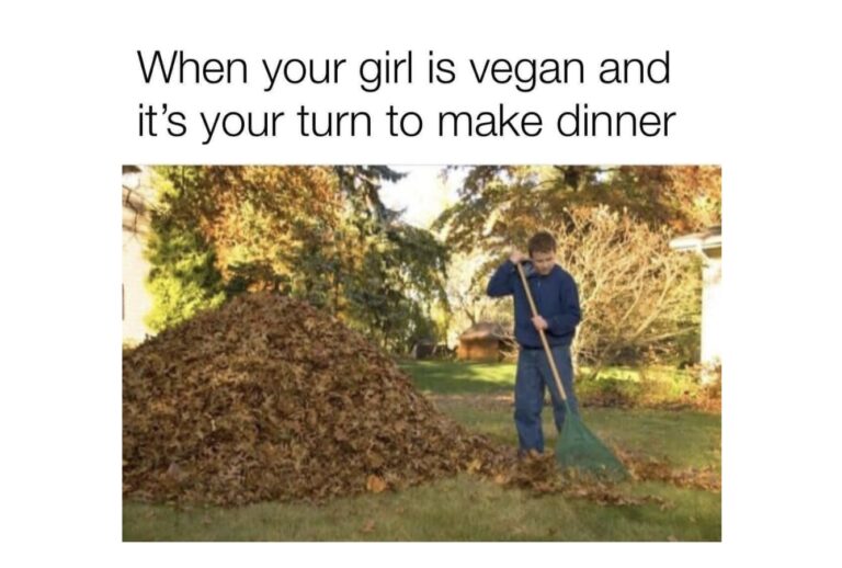 30 Wrong Memes That Are Surprisingly Incorrect, Yet Hilariously Amusing ...