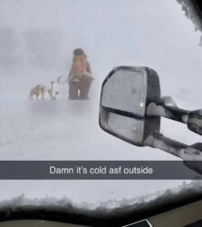 20 Hilariously Unhinged Images That Go Harder Than Logic Itself - Funny