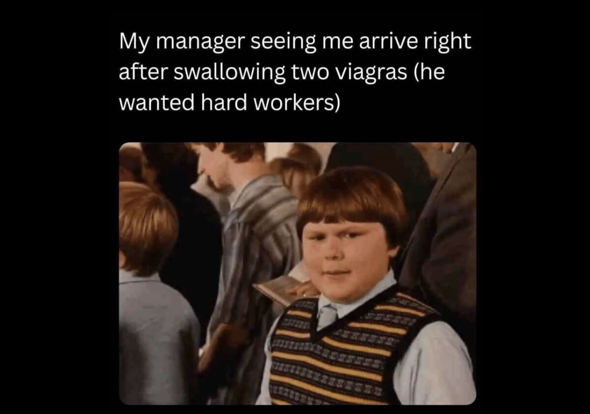 25 Fan Memes That Will Blow You Away With Laughter & Breezy Vibes - Funny