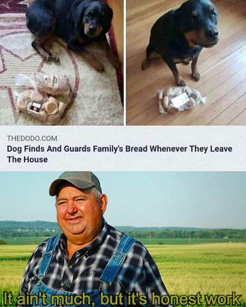 20 Memes That Should Come With Elevator Music - Funny