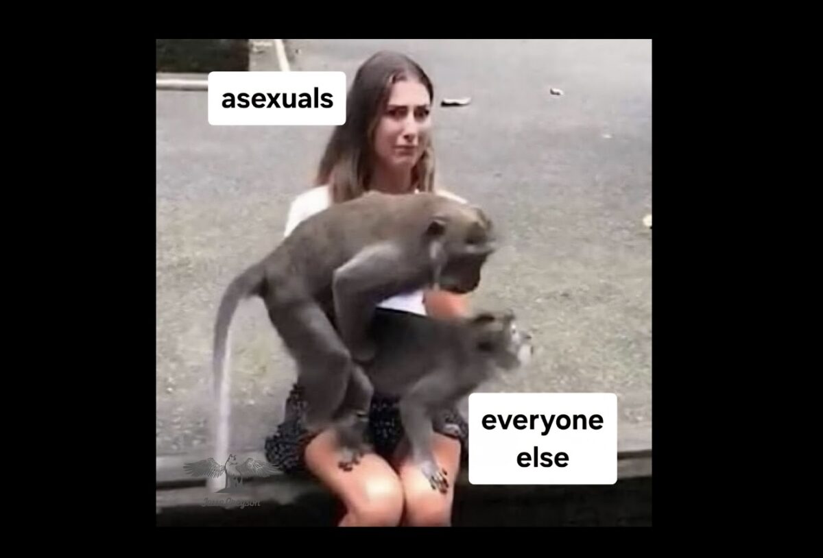 20 Swimming Pool Memes to Keep Your Laughs Above Water - Funny