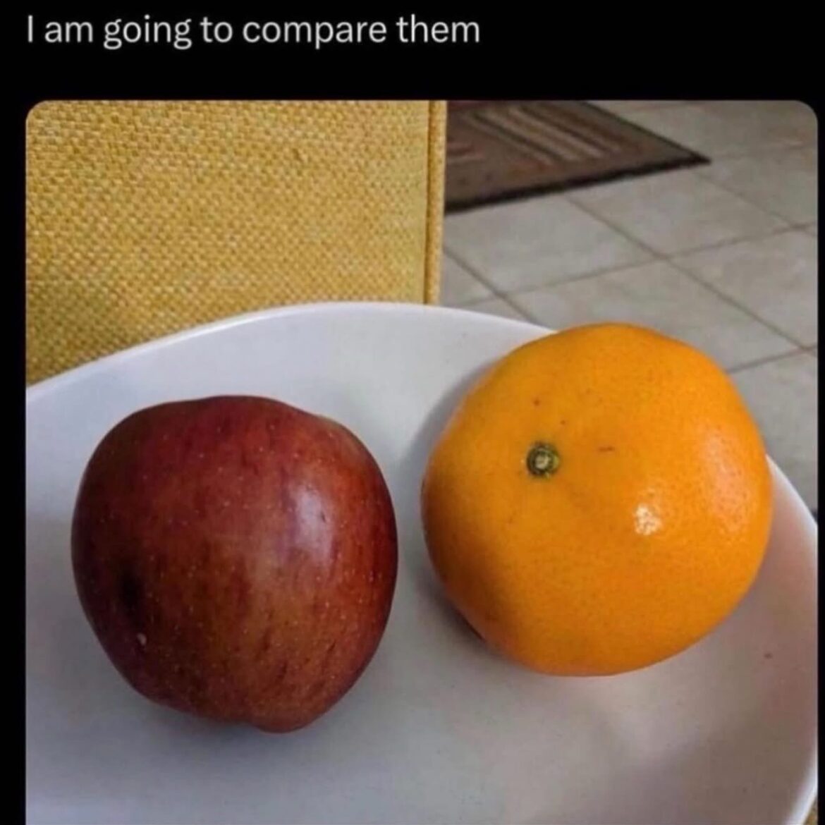 20 Memes That Turn “I Won’t Laugh” Into “Okay Fine” - Funny