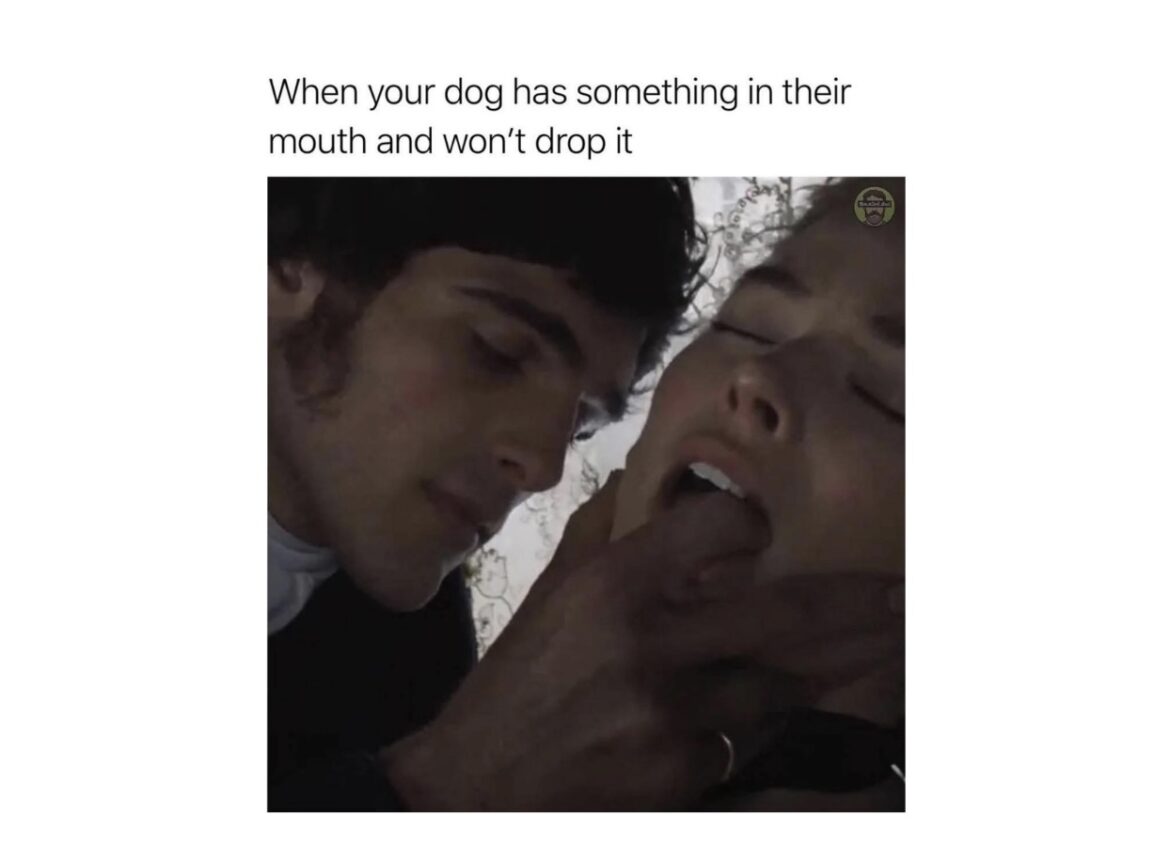 20 Memes That Turn “I Won’t Laugh” Into “Okay Fine” - Funny