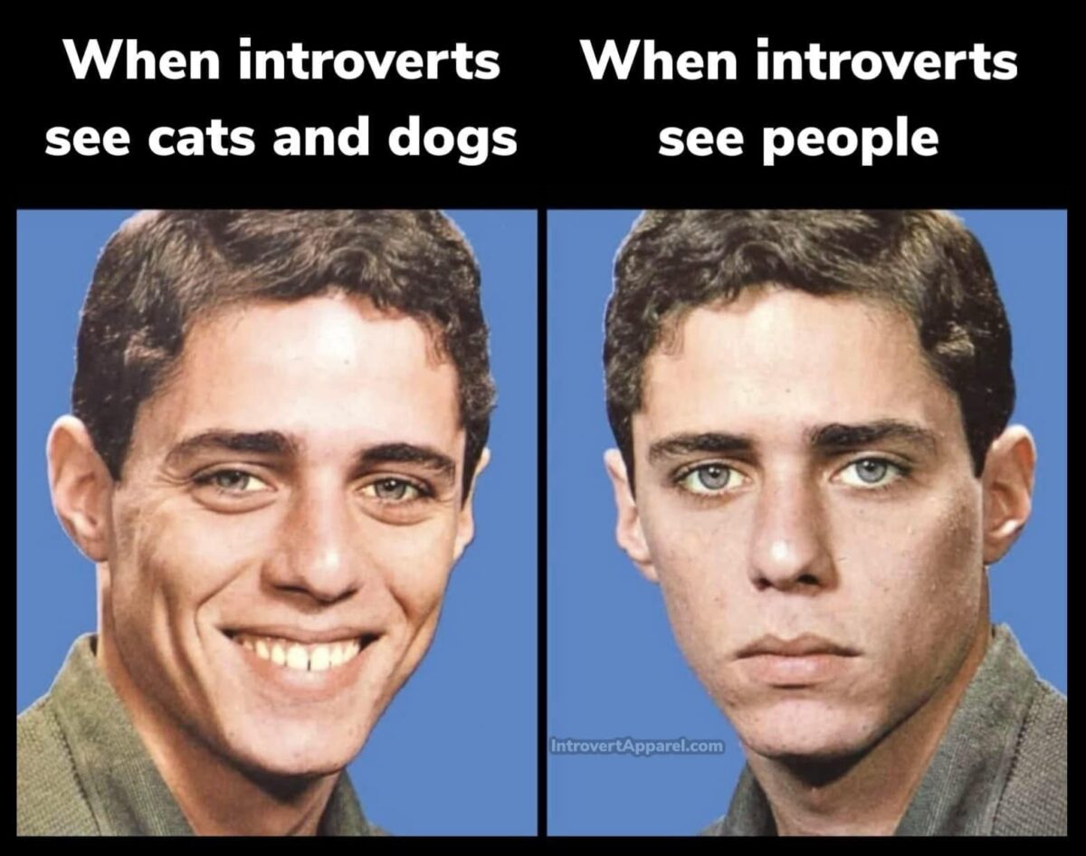 20 Memes For When Humor Feels Like the Only Honest Response - Funny