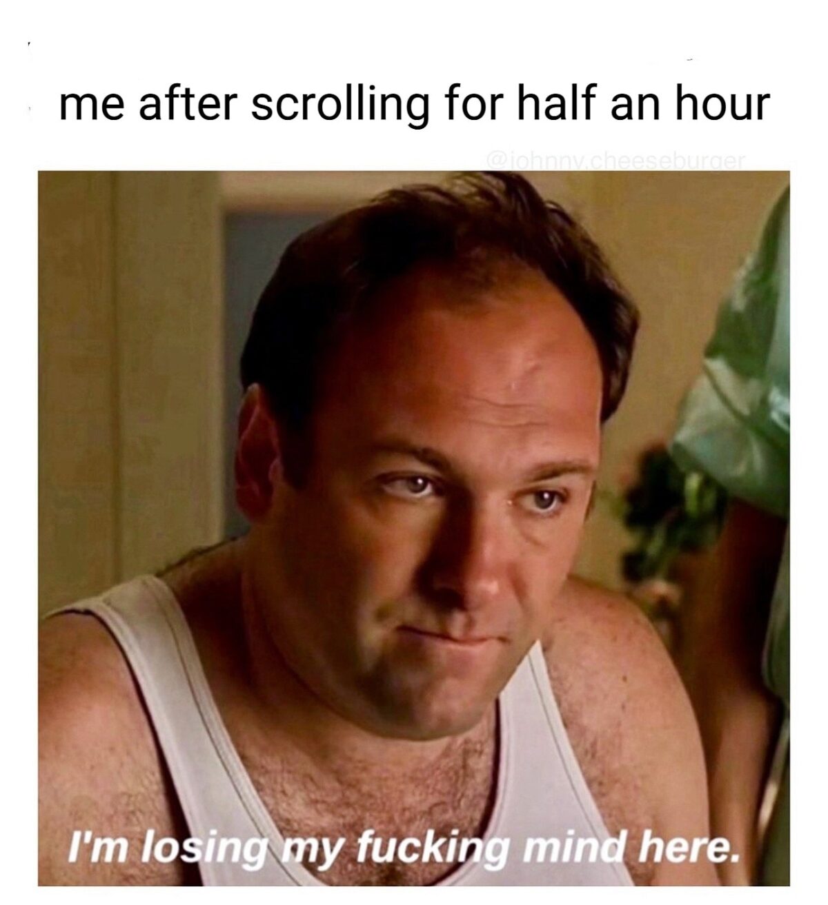 20 Memes That Switch Between Sarcasm and Sincerity Without Warning - Funny