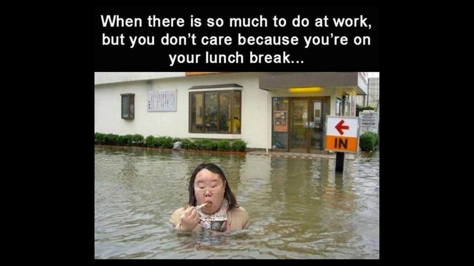 25 Funniest Dog Memes That Bark Up the Right Tree - Animals
